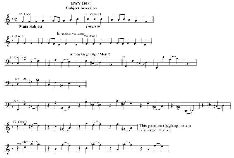 Cantata BWV 101 - Examples from the Score