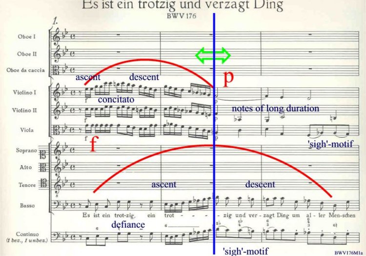 Cantata BWV 176 - Examples from the Score & Commentary