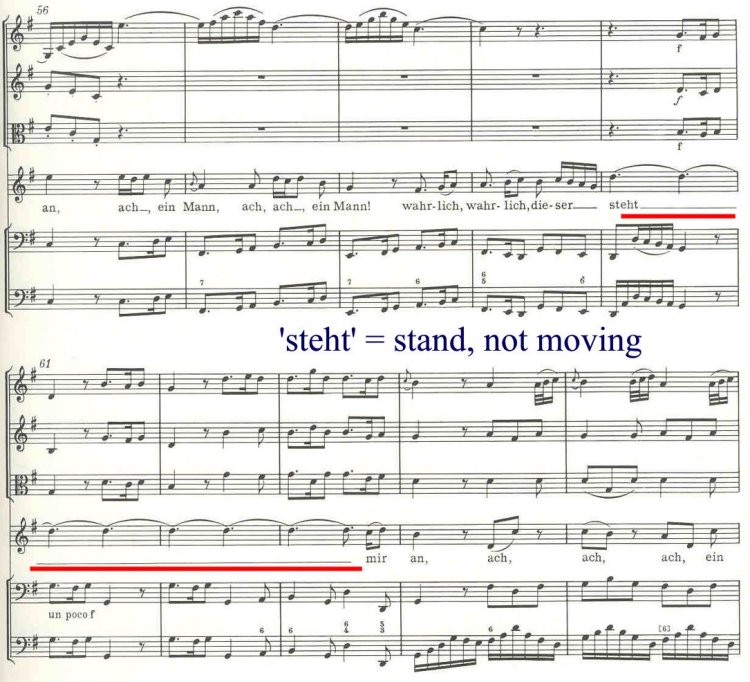 Cantata BWV 211 - Examples from the Score