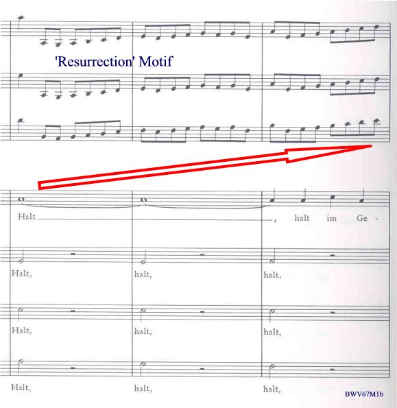 Cantata BWV 67 - Examples from the Score