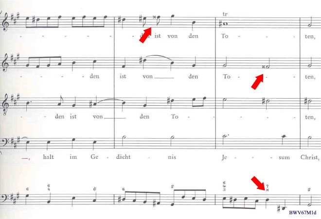 Cantata BWV 67 - Examples from the Score